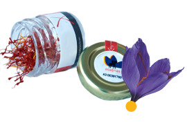 Our Products